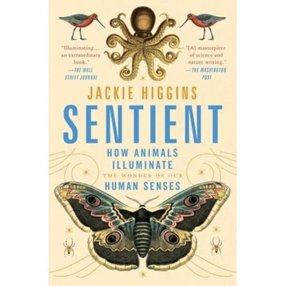 Jackie Higgins | Other | Sentient How Animals Illuminate The Wonder Of ...